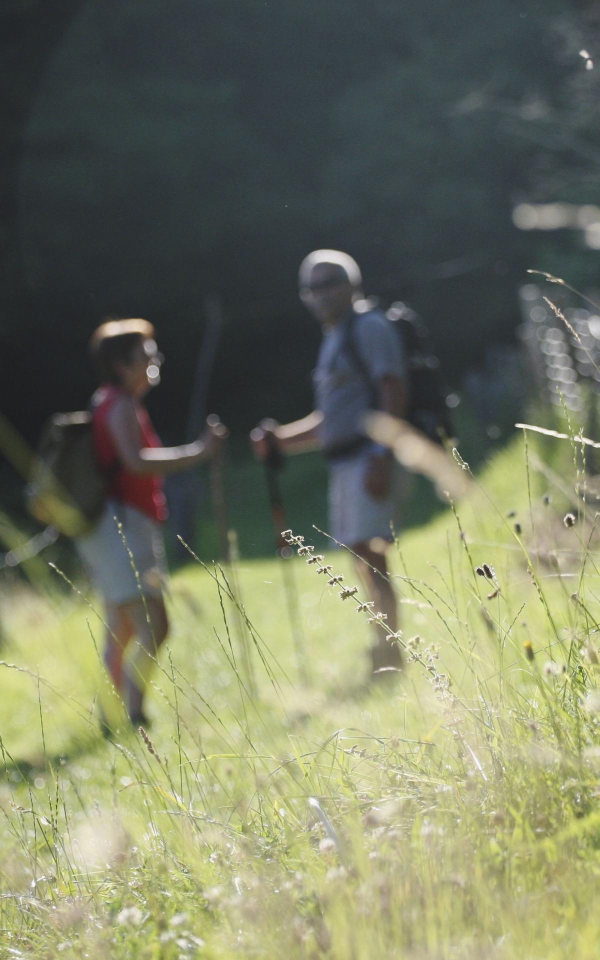 Château de Beynac (Beynac-et-Cazenac) | Sarlat Tourisme - Périgord Noir